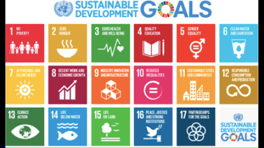 The United Nations Sustainable Development Goals