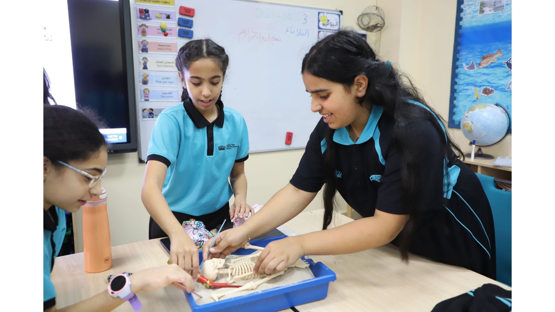 Year 6 UAE Social Studies