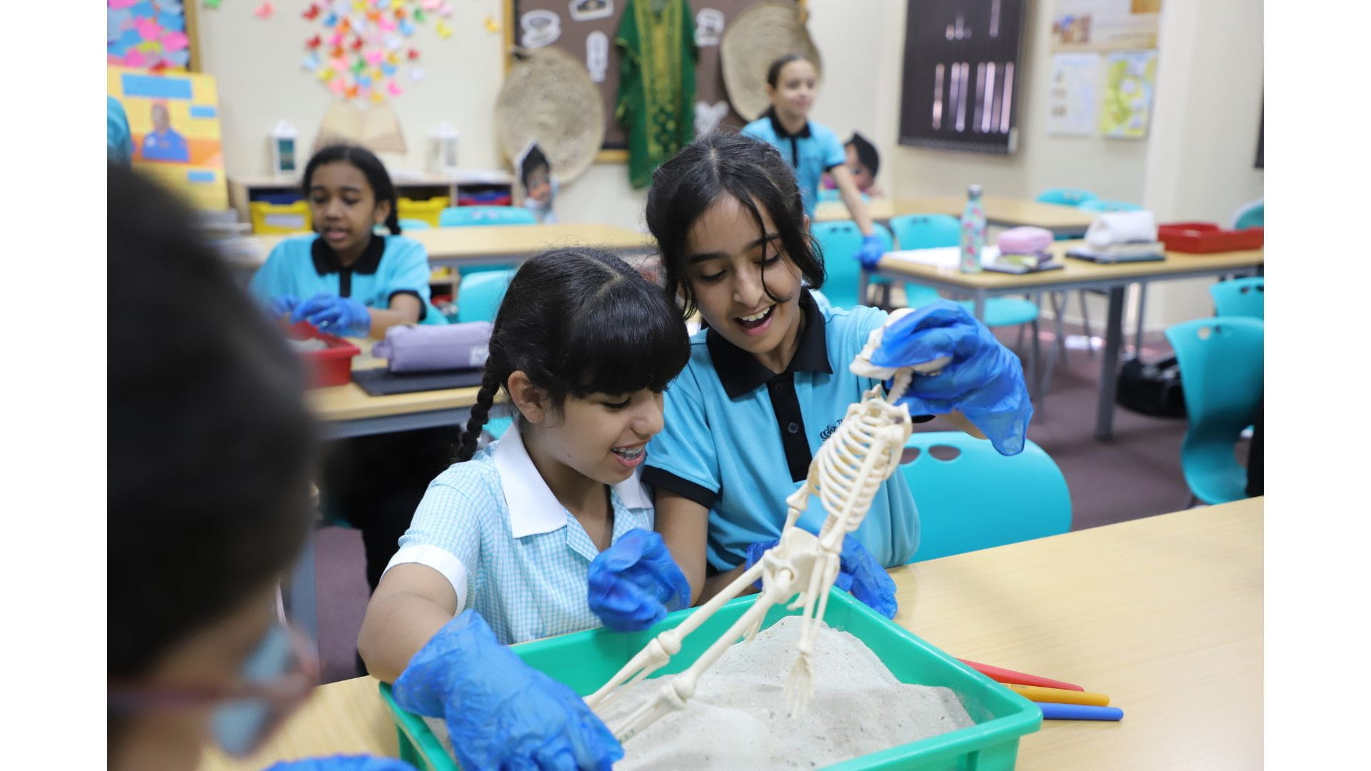 Year 6 UAE Social Studies