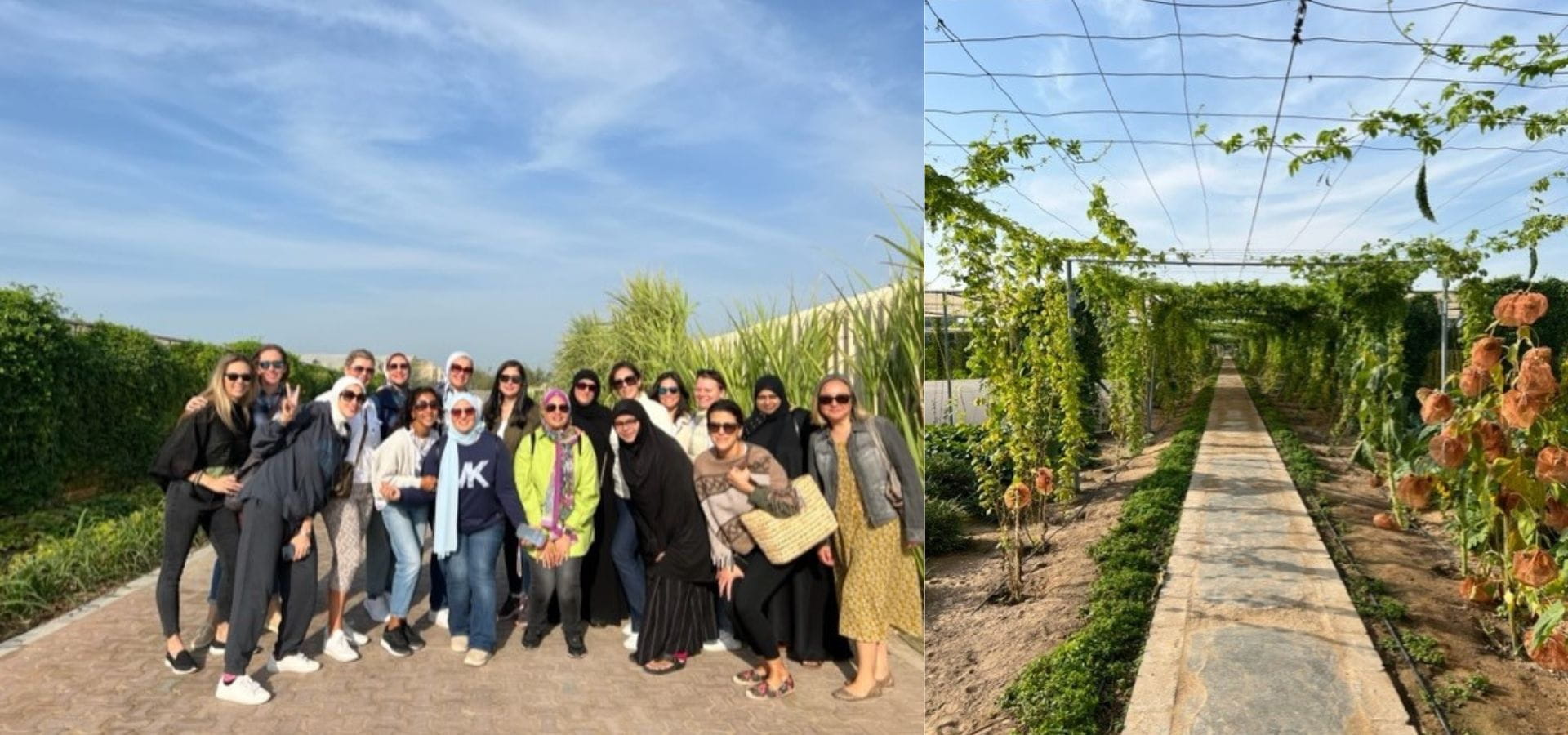 Parent out and about at Mazarra Organic Farm