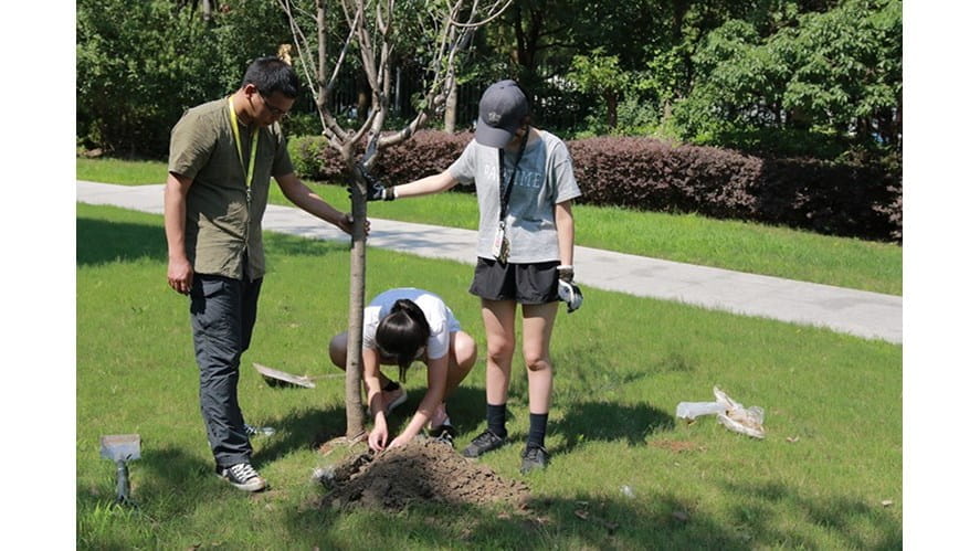 The Million Tree Project