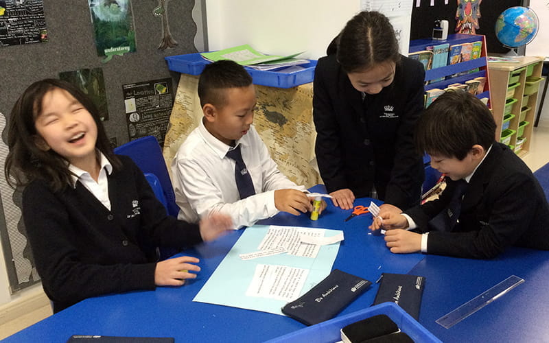 Into the Amazon Rainforest | BSB Sanlitun