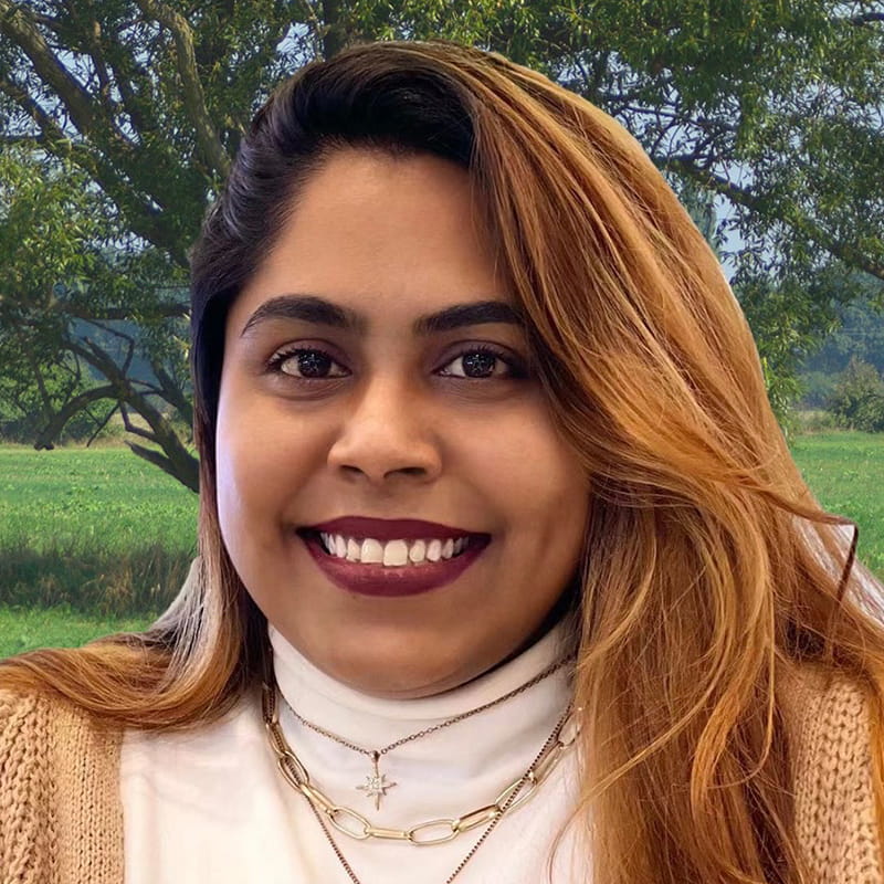 Meet Our Teachers | BSB Sanlitun