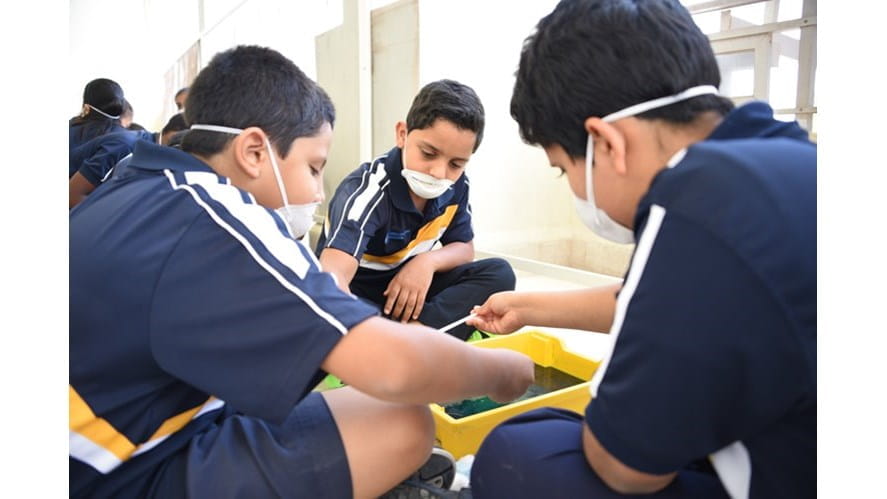 Gharaffa IPC Entry Point: Back Gold