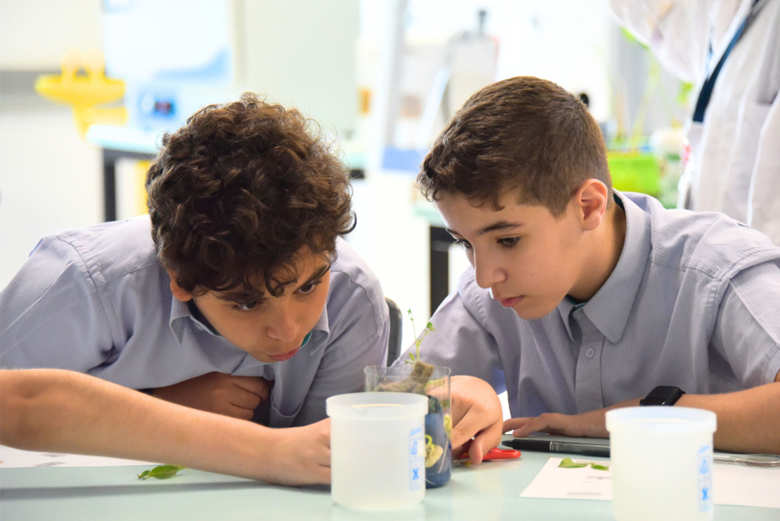 Using a STEAM mindset as an approach to learning