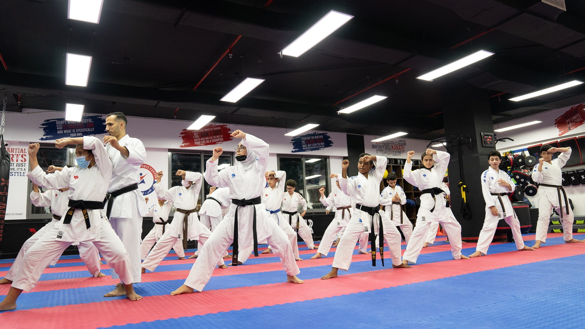 Mastering the Martial Arts