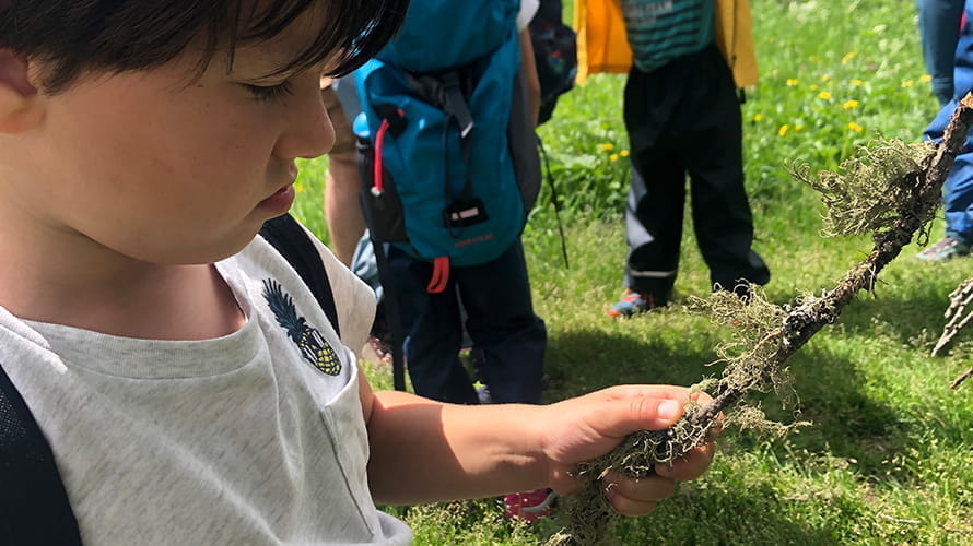 Playing with sticks - Why risky play is so important in the Early Years