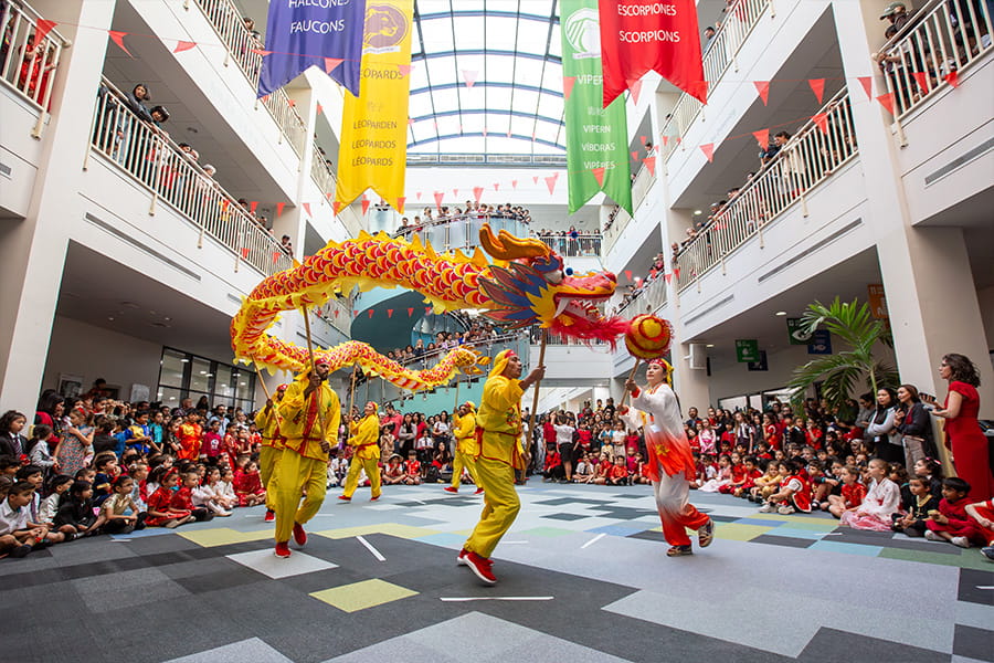 Why is Learning Languages so Important?